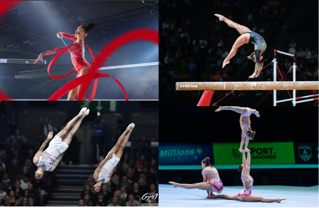 Stages Perfectionnement GAF/Trampo et Acro/Gr Vacances Noel